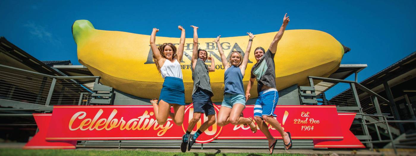 NDIS and Companion Cards | The Big Banana Fun Park